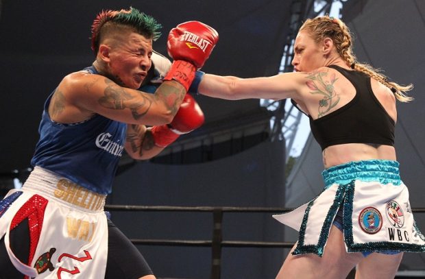 Hardy vs Vincent: A Sellable Thing. An in-depth account of an historic ...