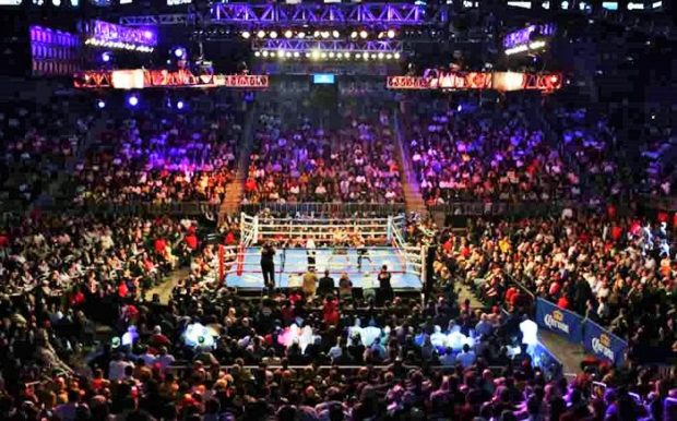 boxing crowd featured 888 - The Fight City