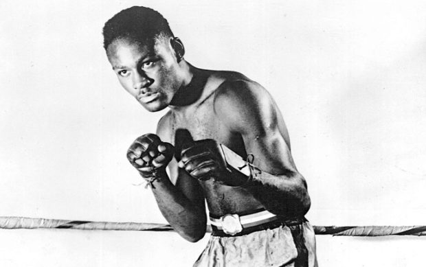 The Fight City - An independent boxing website